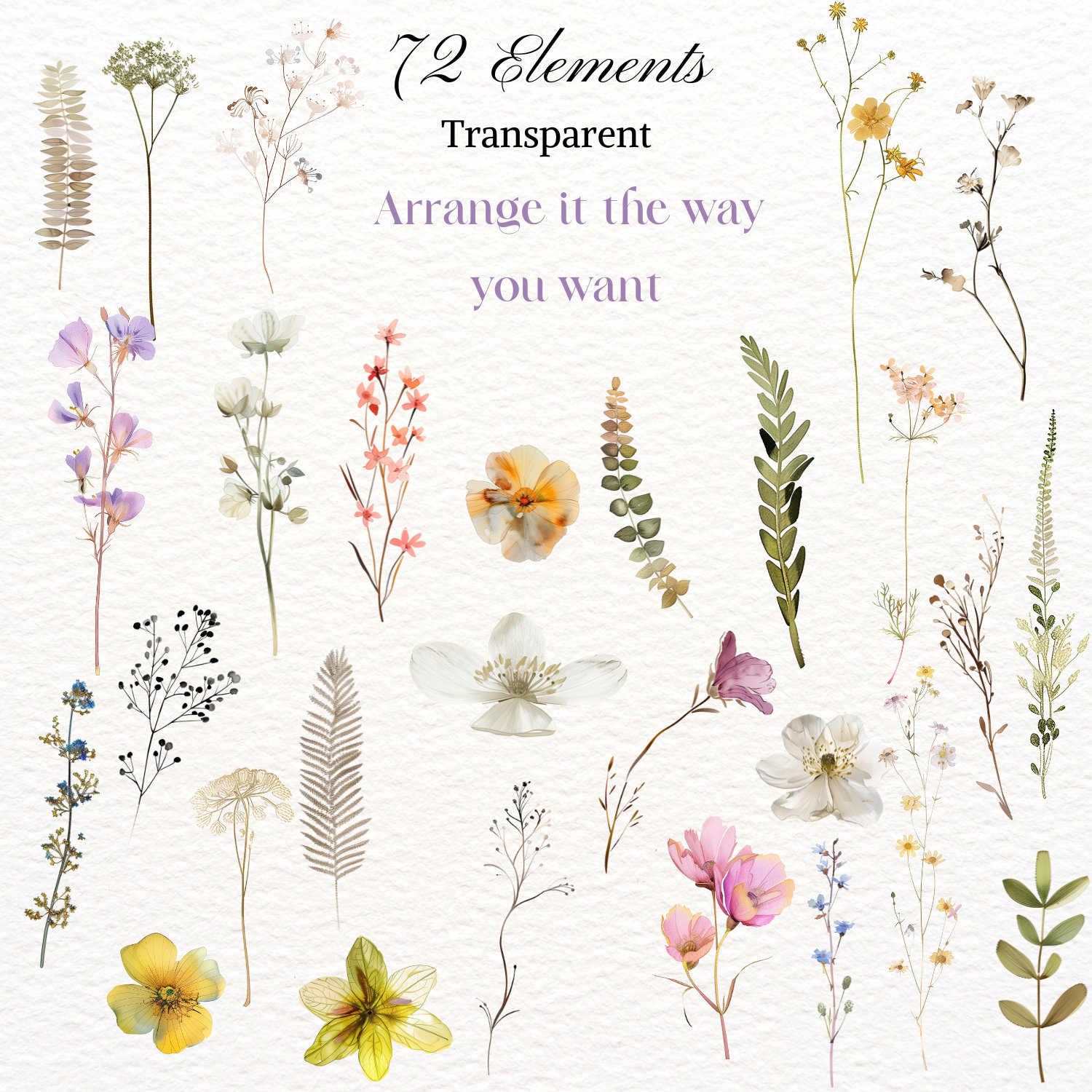 Pressed Flower DIY Elements Clipart Transparent Watercolor PNG Wild ...