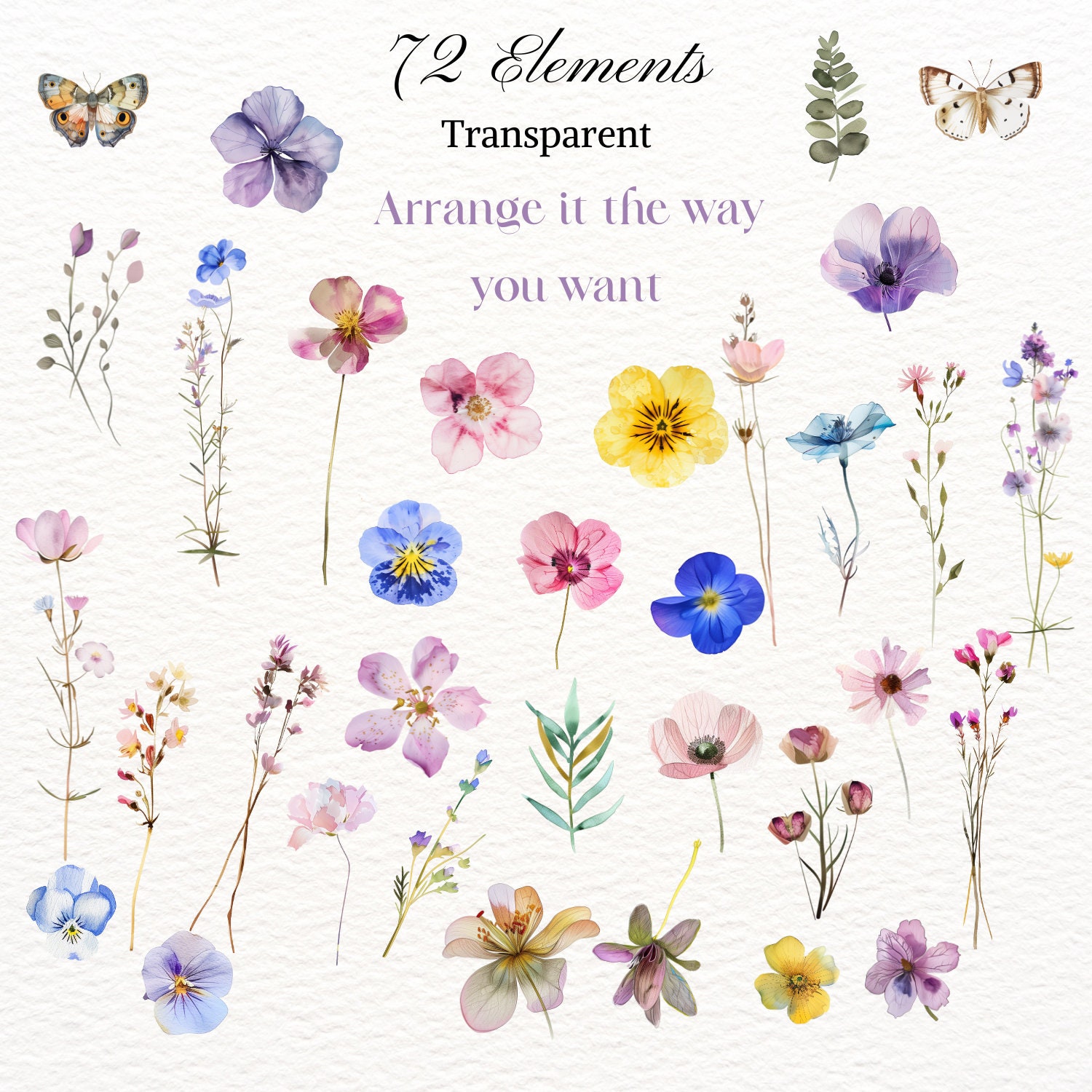 Pressed Flower DIY Elements Clipart Transparent Watercolor PNG Wild ...
