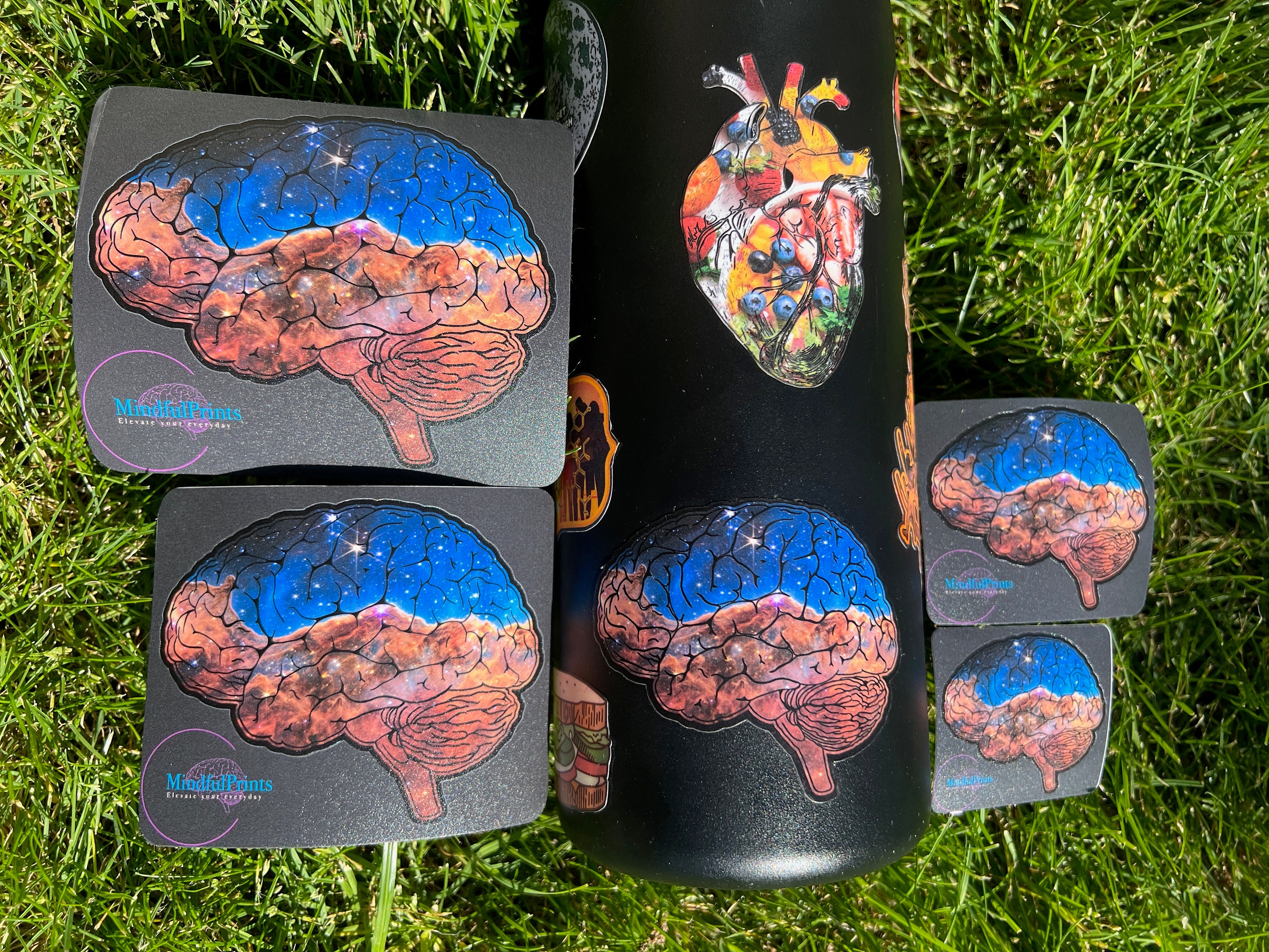 Carina Nebula Anatomical Brain Sticker Astronomy Science Sticker ...