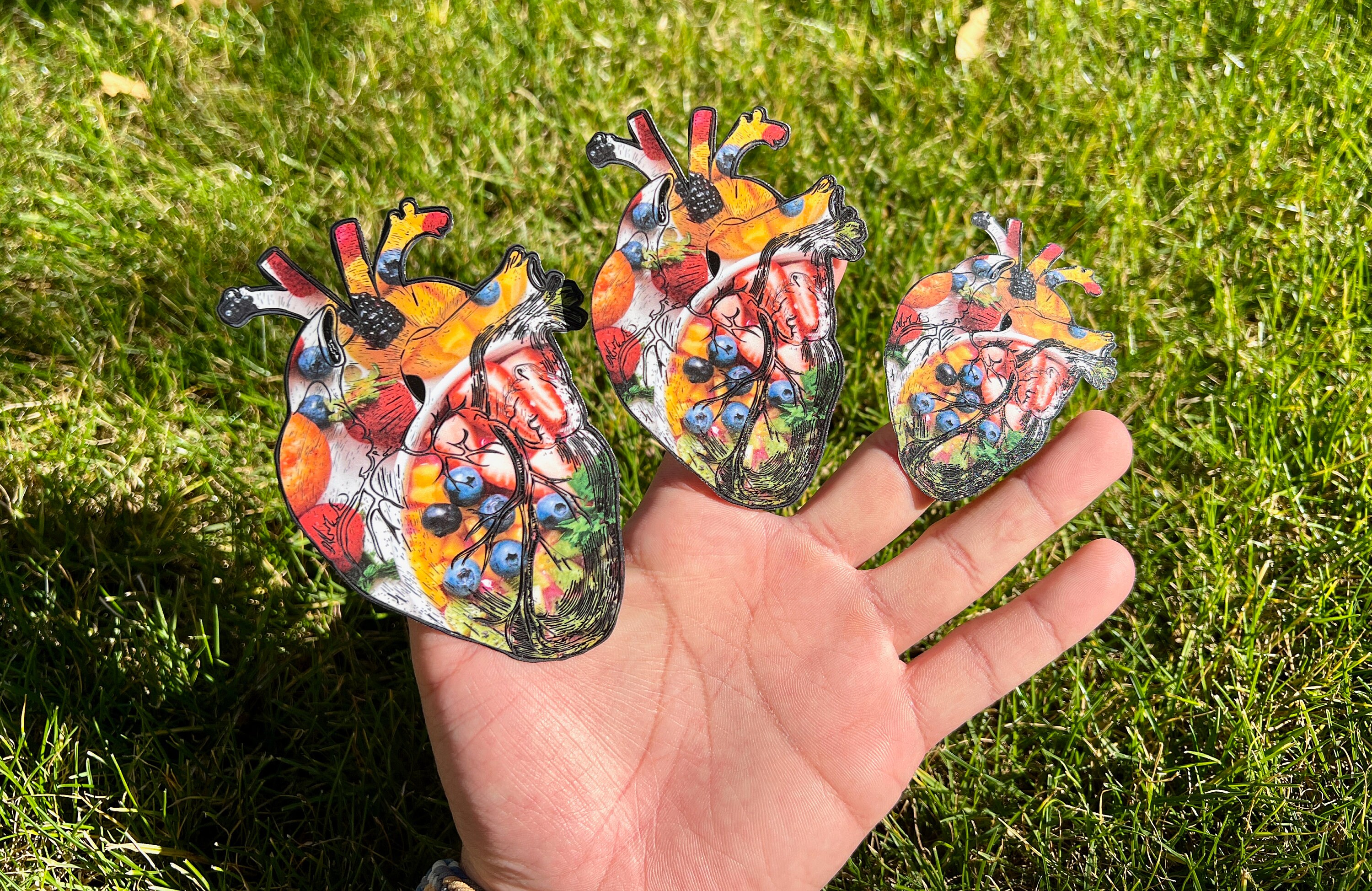 Anatomical Heart Sticker Healthy Food Reminder Heart Food Sticker Fruit ...