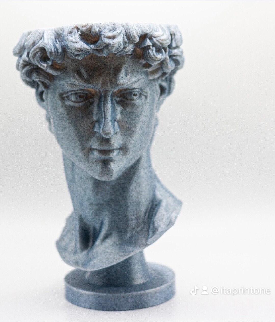 David Home|decoration |pen |flower Vase Holders| David Head| Bust ...
