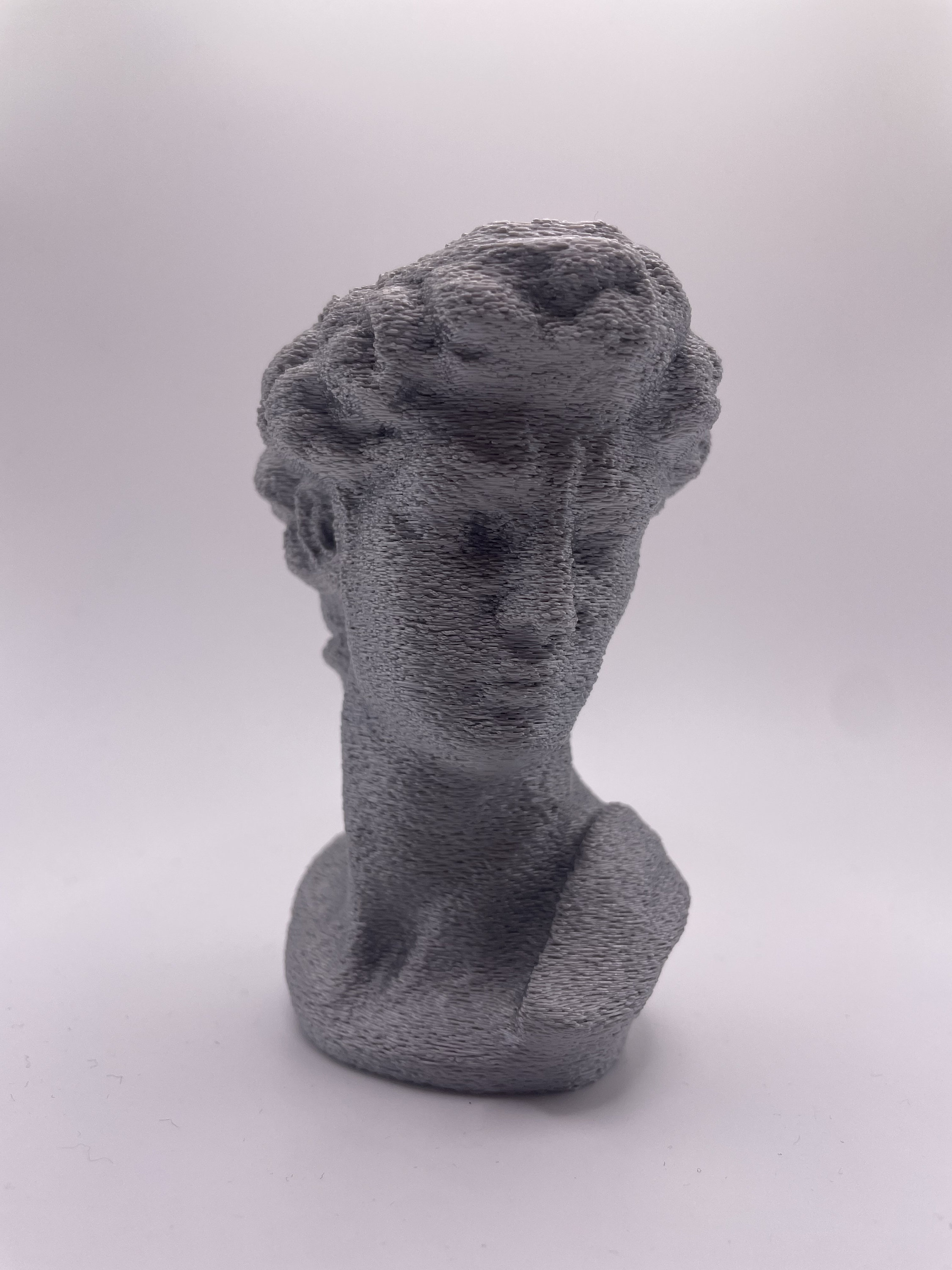 David Home|decoration |pen |flower Vase Holders| David Head| Bust ...
