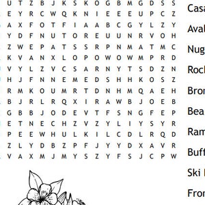 Colorado Word Search Puzzle Book #1 - 5 Different Puzzles - Etsy
