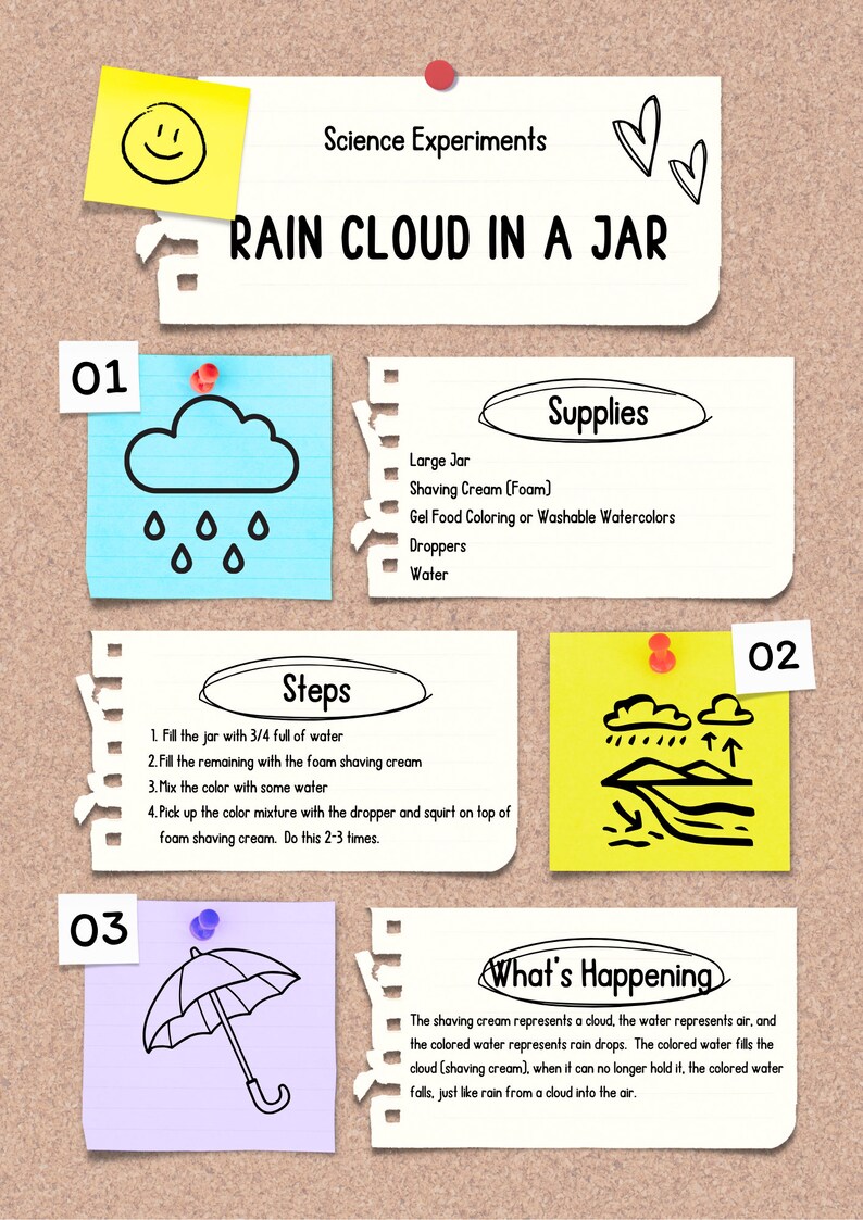 Science Experiment Info Cards for Kids and Template to Do More - Etsy ...