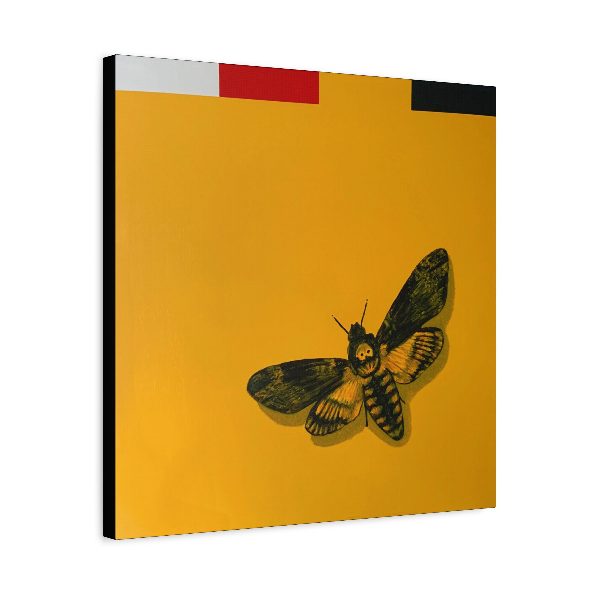 Fine Art Print From Original Oil Painting 'deaths Head Moth', Matte ...