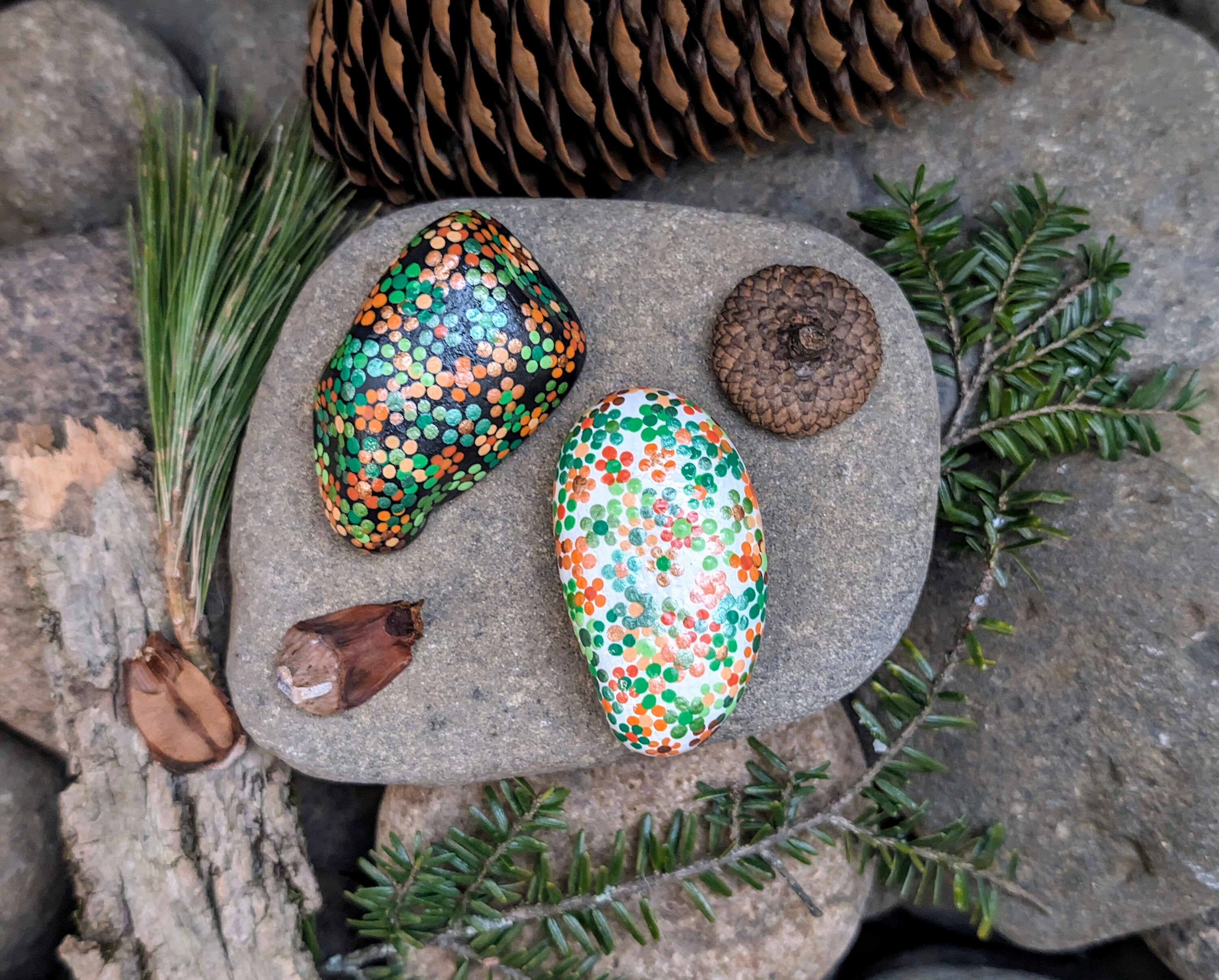 Flower Patch Hand Painted Rocks, Colorful Nature Inspired Stones, Palm ...