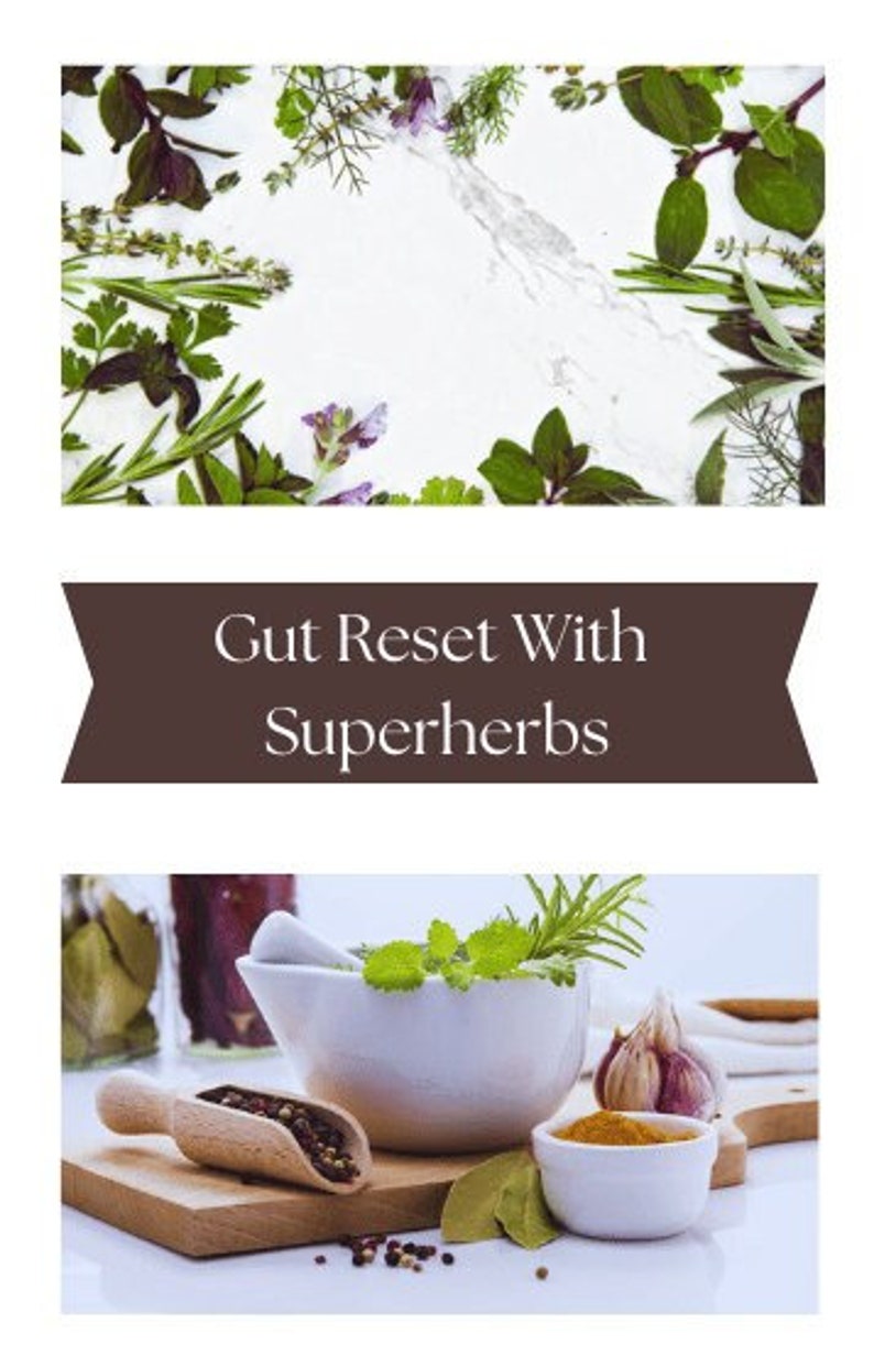 5-step Gut Reset Guide - Etsy