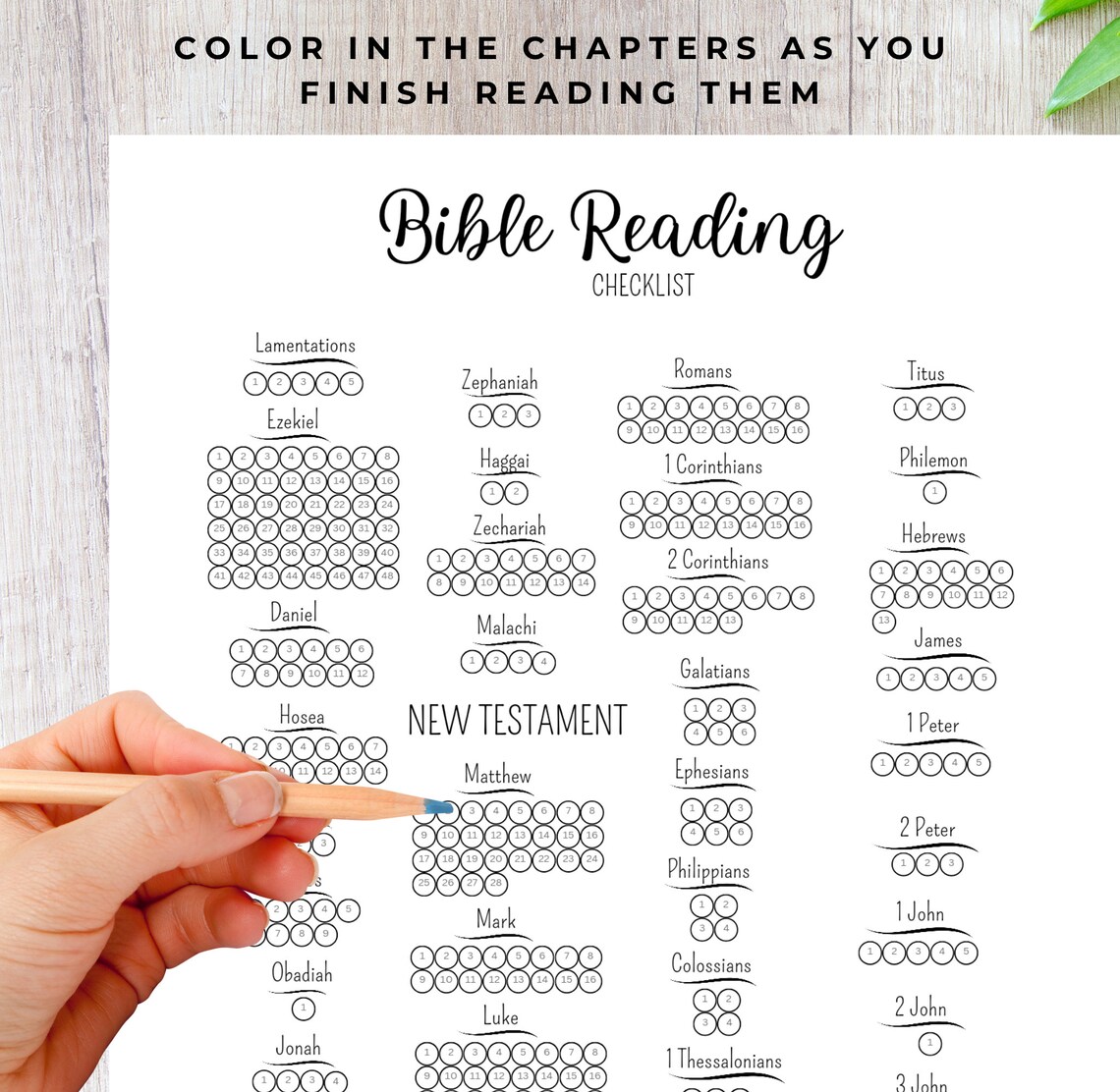 Bible Reading Checklist Tracker Daily Bible Reading Plan One Chapter ...