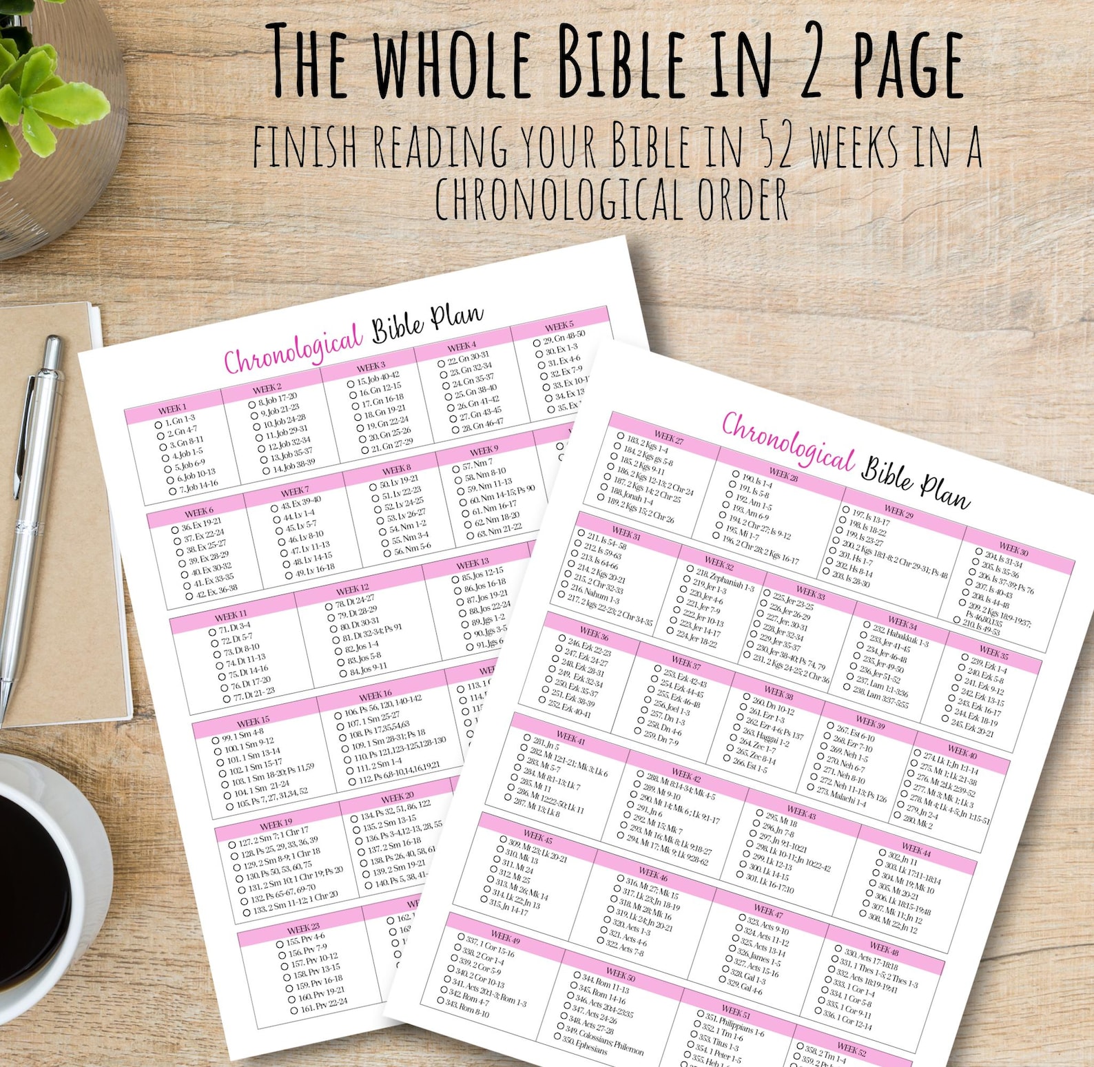 Chronological Order Bible Reading Plan 365 Days Reading Challenge Bible ...