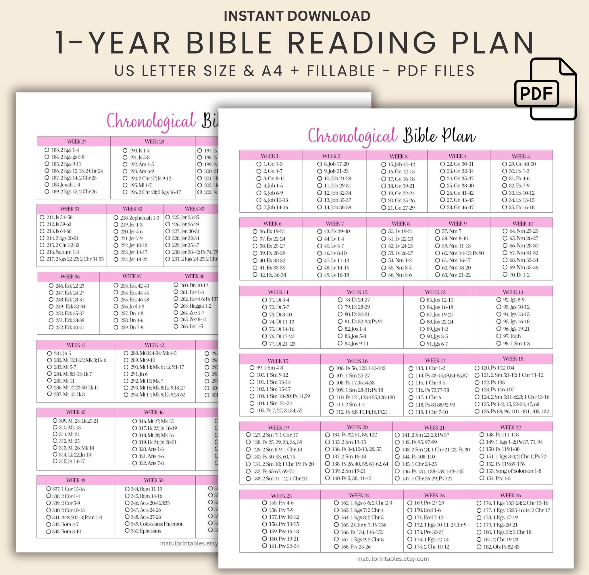 Chronological Order Bible Reading Plan 365 Days Reading Challenge Bible ...