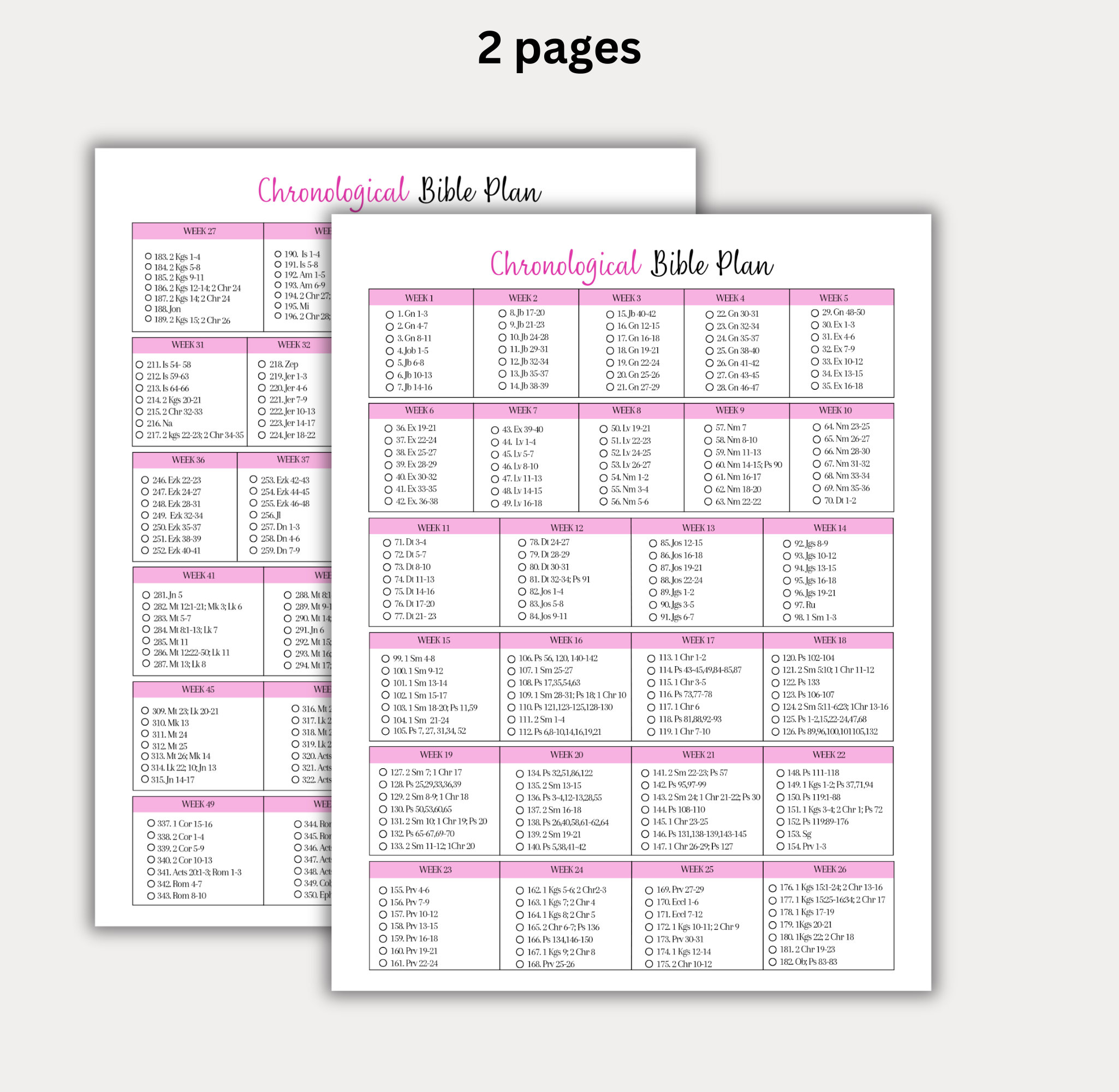 Chronological Order Bible Reading Plan 365 Days Reading Challenge Bible ...