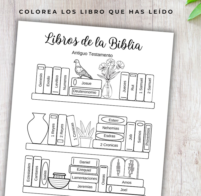 Spanish Bookshelf Bible Reading Plan Tracker Printable Christian Bible ...