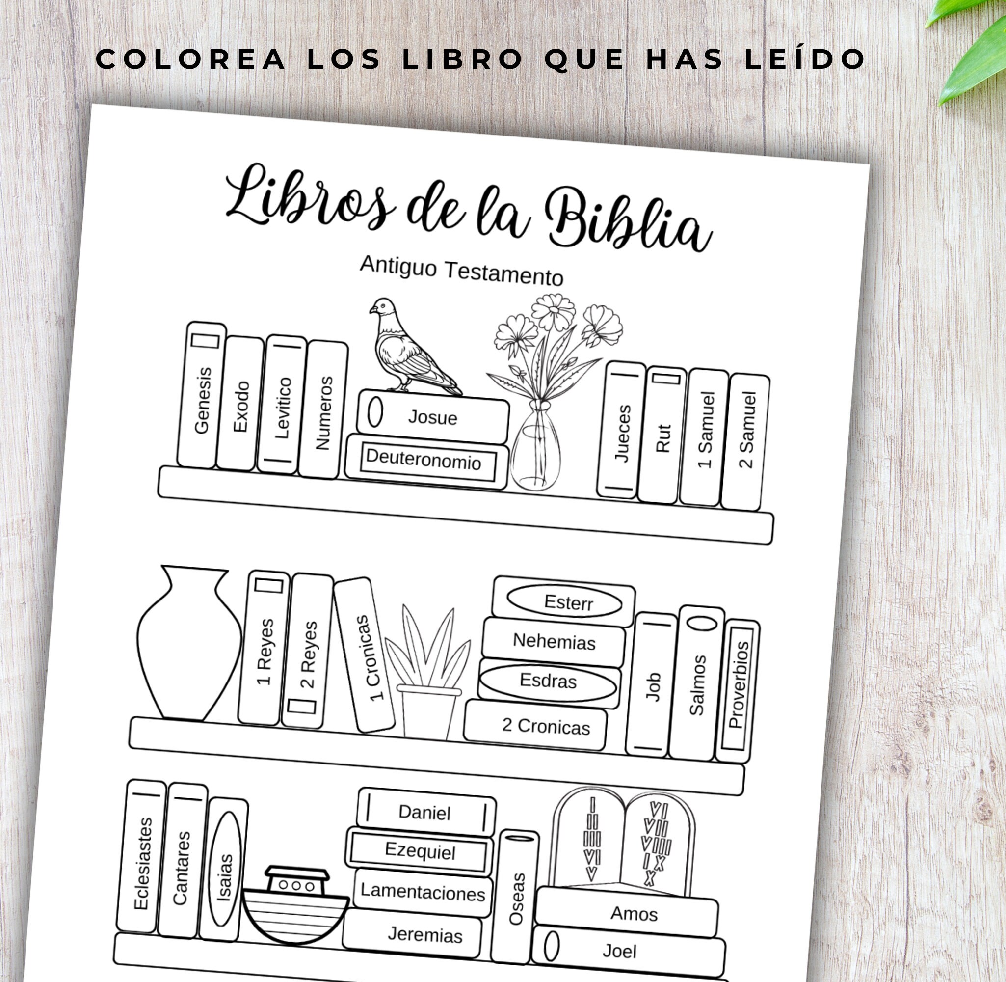 Spanish Bookshelf Bible Reading Plan Tracker Printable Christian Bible ...