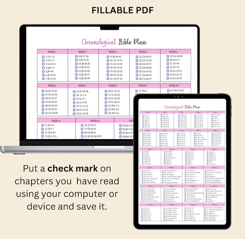 Chronological Order Bible Reading Plan 365 Days Reading Challenge Bible ...