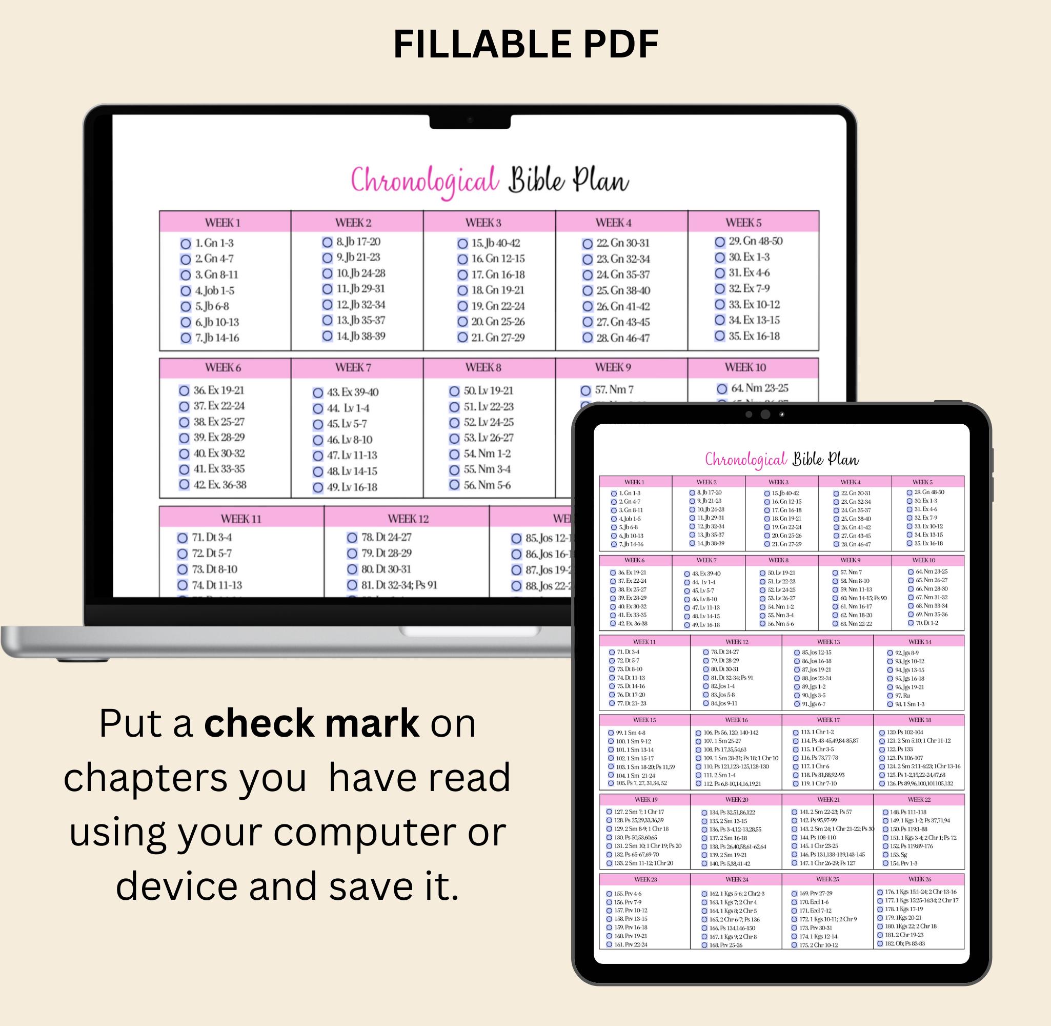 Chronological Order Bible Reading Plan 365 Days Reading Challenge Bible ...