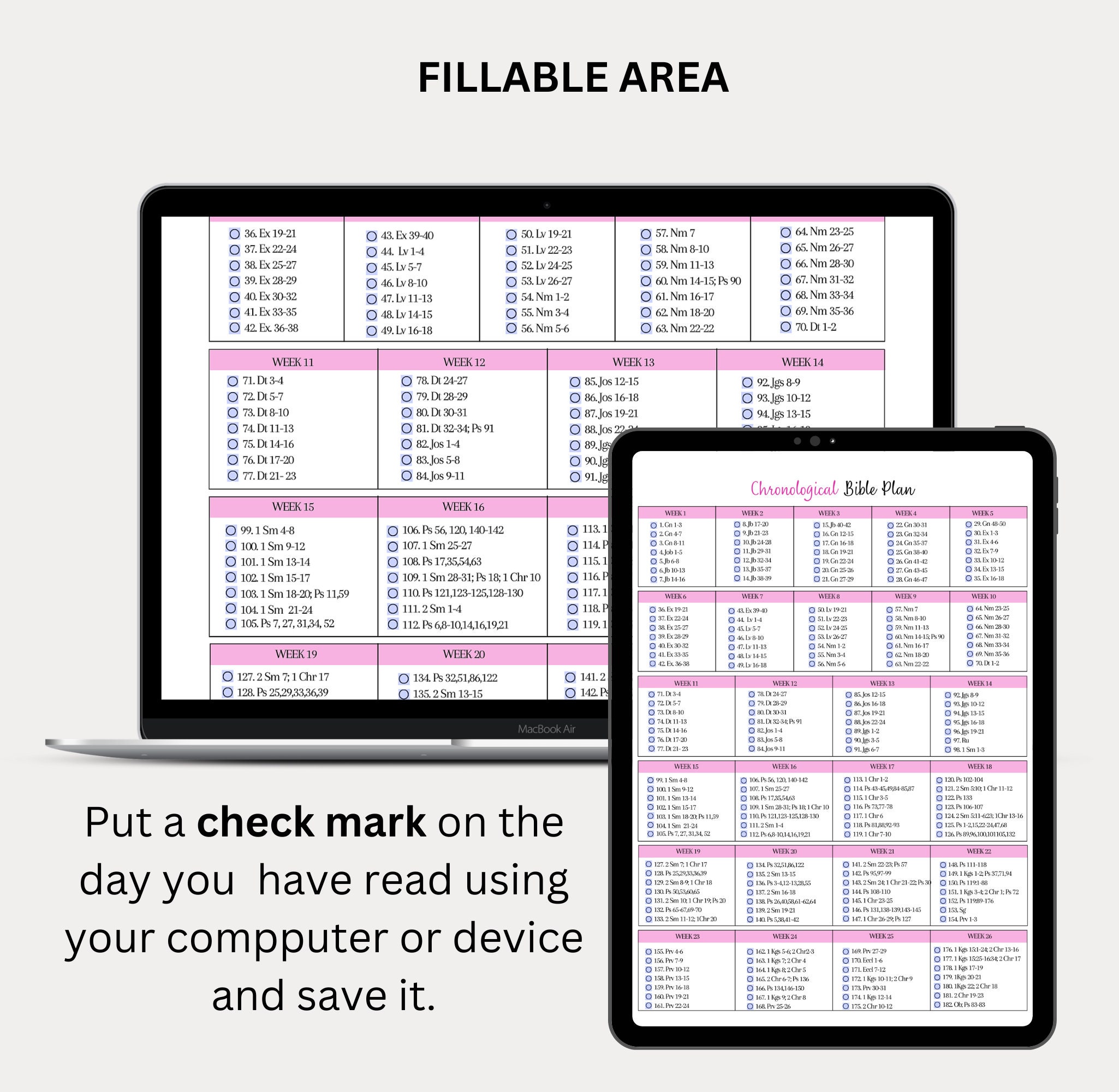Chronological Order Bible Reading Plan 365 Days Reading Challenge Bible ...