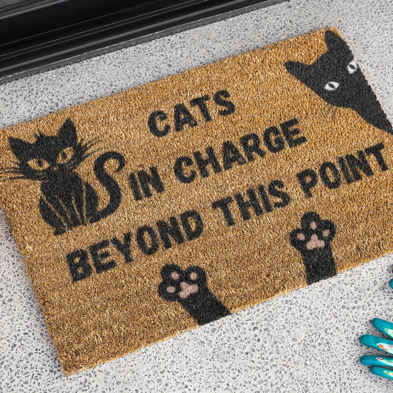 Cat Door Mat - Etsy