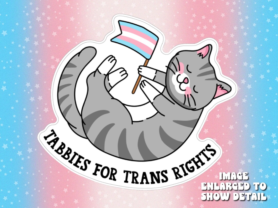 Tabbies for Trans Rights Sticker - Etsy