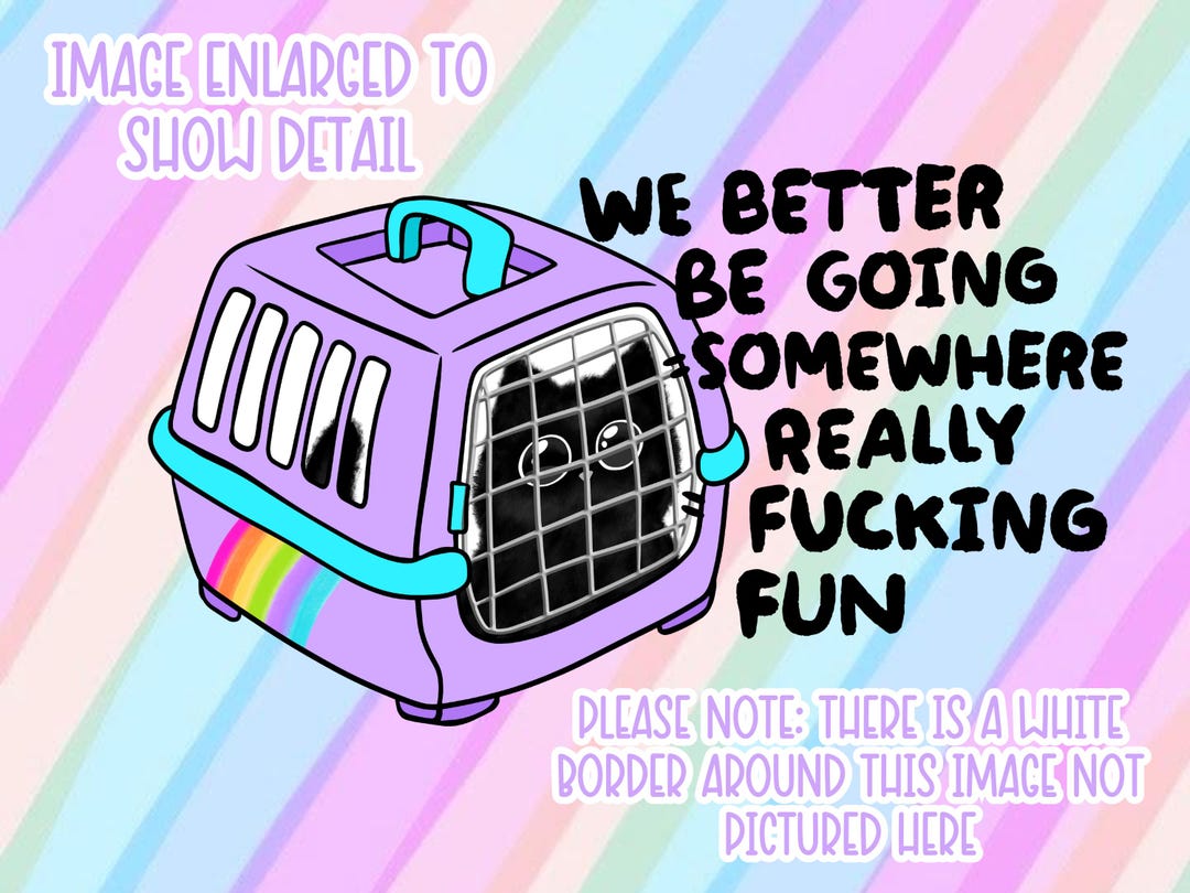 Funny Cat in Carrier Sticker - Etsy