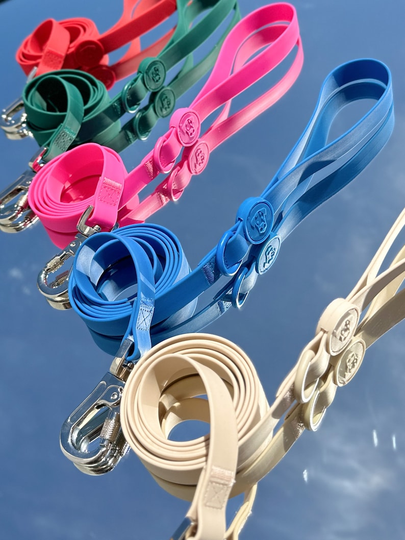 Waterproof Dog Leash | Dirt and Odor Resistant | Fun Colors | Essential ...