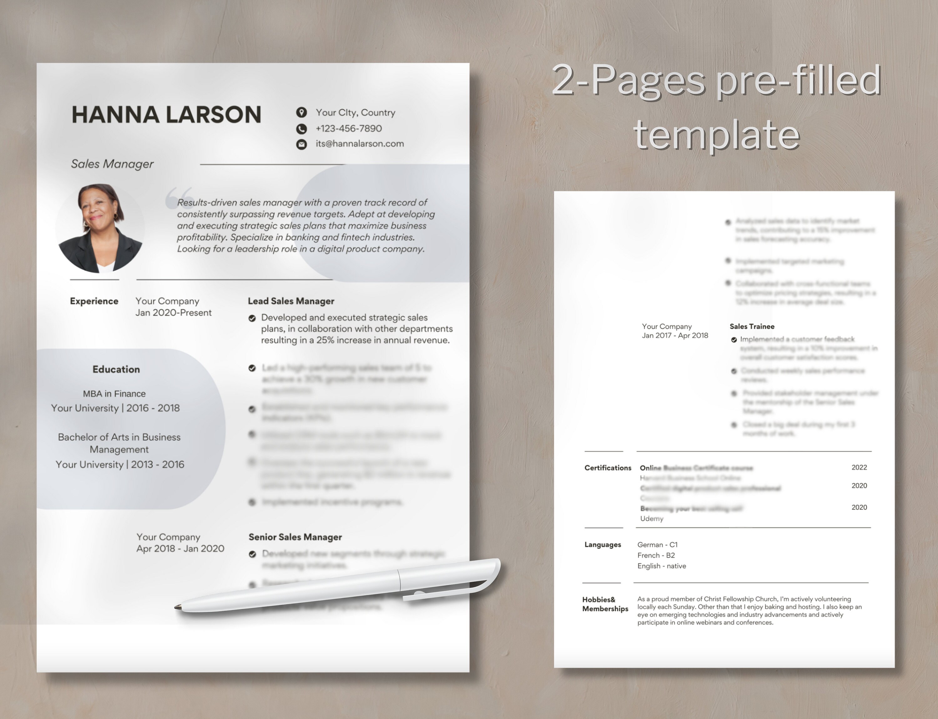 Sales Resume Template With Photo Professional CV Template High Profile ...