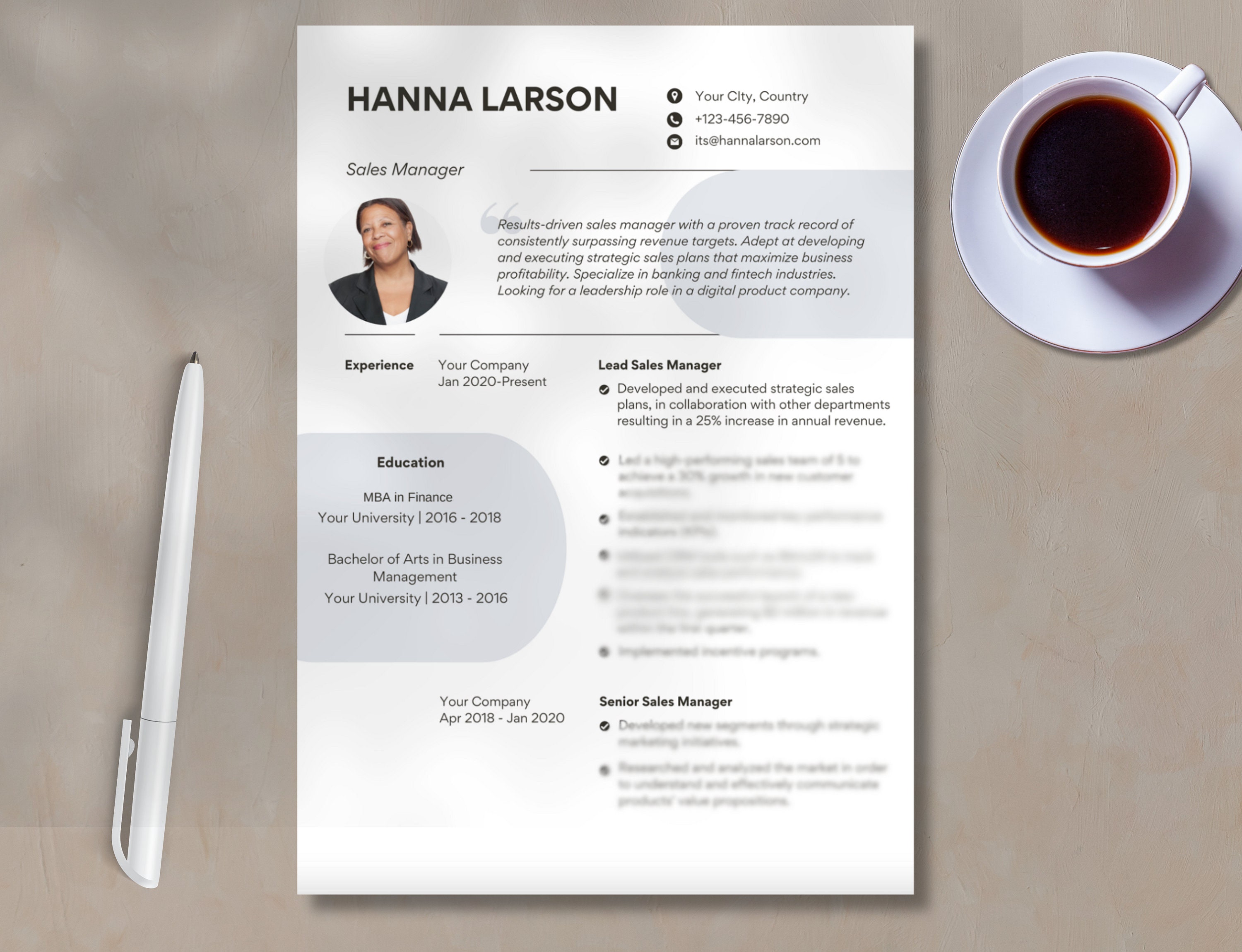 Sales Resume Template With Photo Professional CV Template High Profile ...