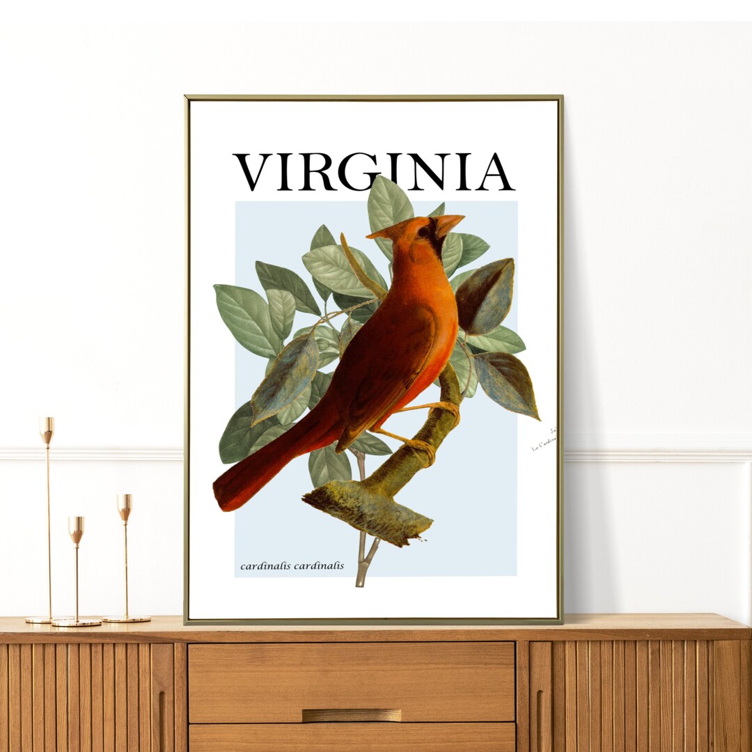 Virginia Cardinal State Bird Cardinal Digital Art Print - Etsy