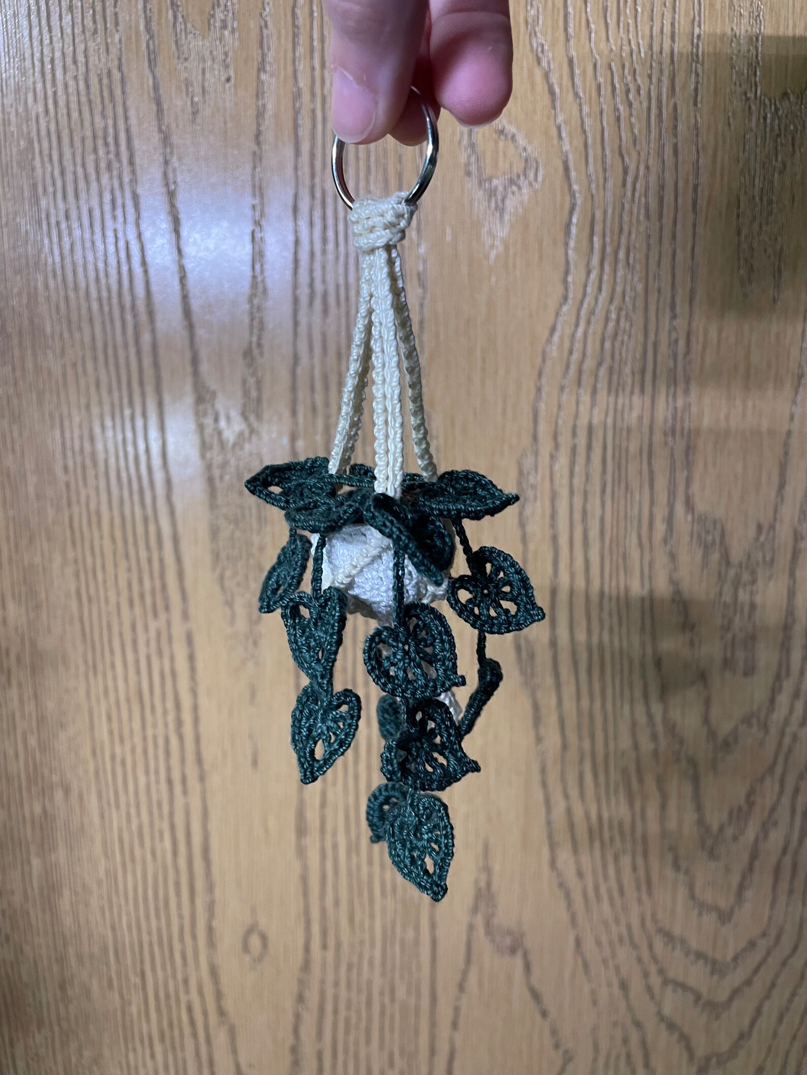 Mini Crochet Hanging Plant Keychain - Etsy