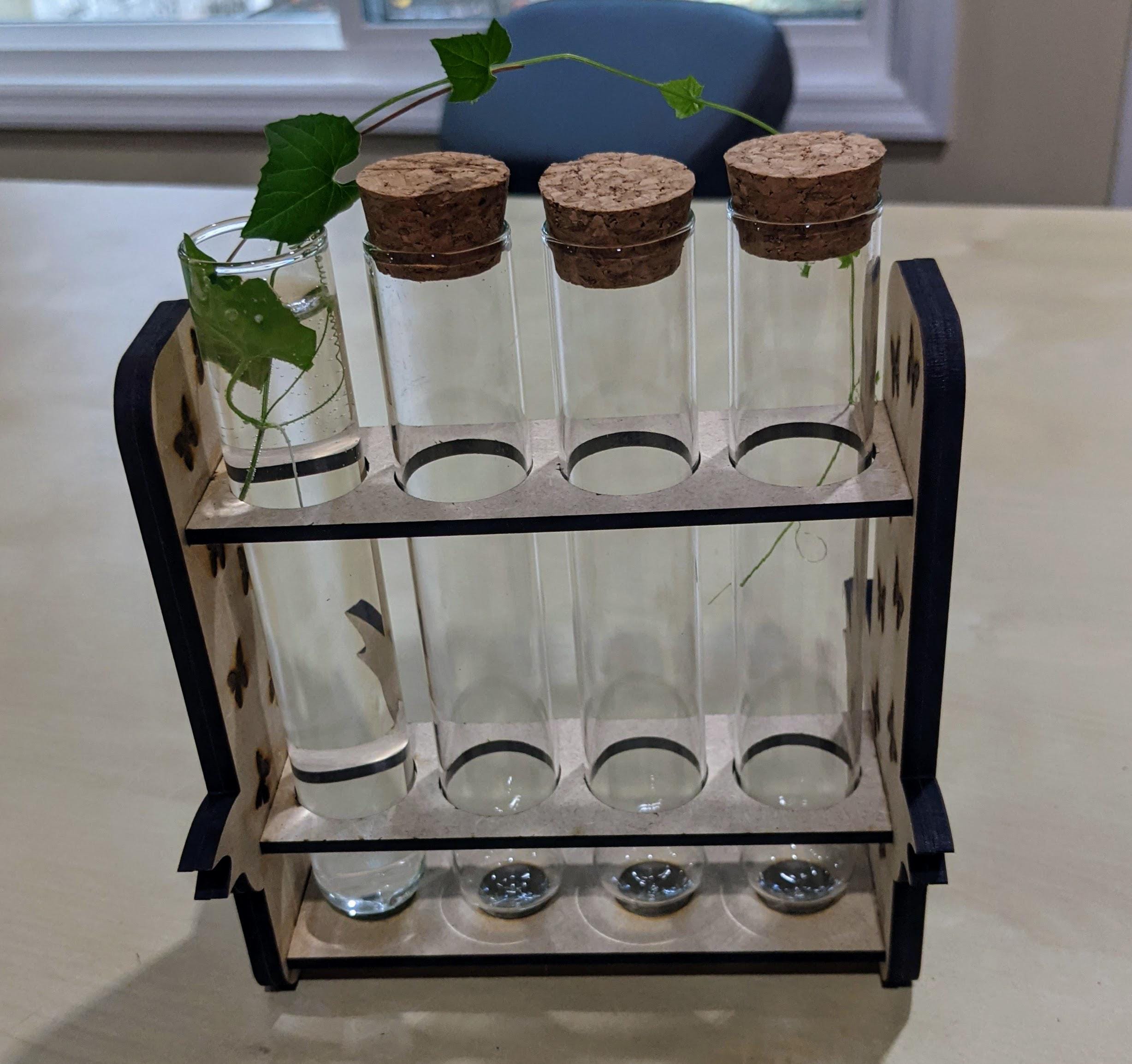 Butterfly Propagation Stand SVG | Laser Cut Test Tube Holder (digital ...