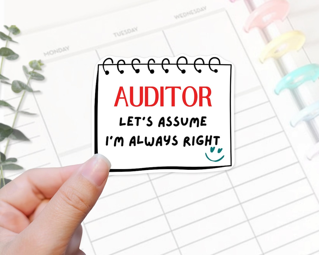 Sticker for Auditor, Funny Quote, Matte Vinyl Paper, Gift Idea for ...