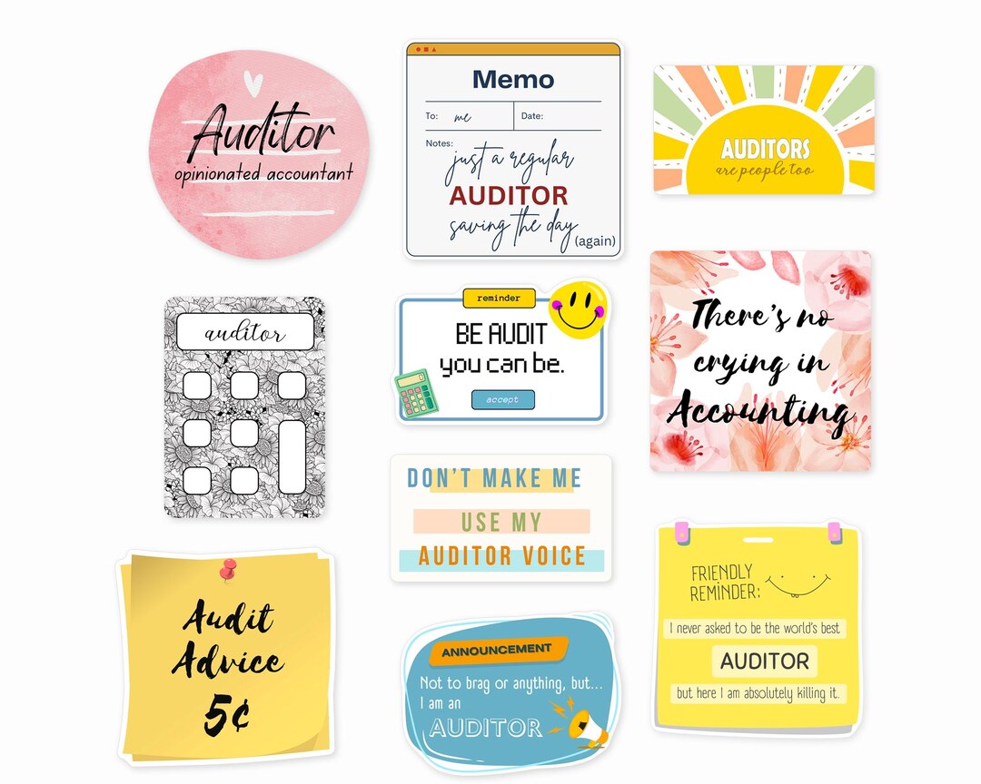 10 Sticker Pack for Auditor W/ Funny Quotes, Gift for CPA Certified ...