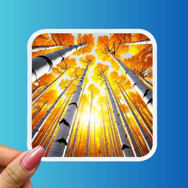 Aspen Decal - Etsy