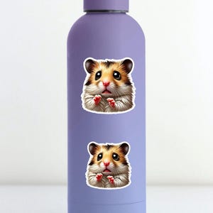 Adorable Scared Hamster Sticker - Cute and Expressive Pet Vinyl Decal ...