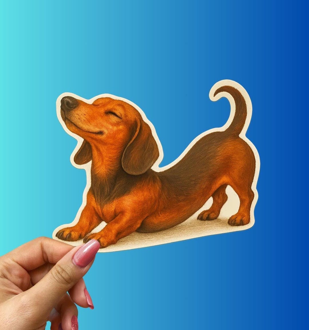 Stretching Dachshund Dog Sticker – Cute Wiener Dog Vinyl Decal, Happy ...