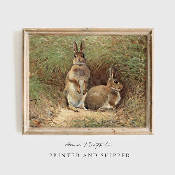 Antique Rabbit Print - Etsy
