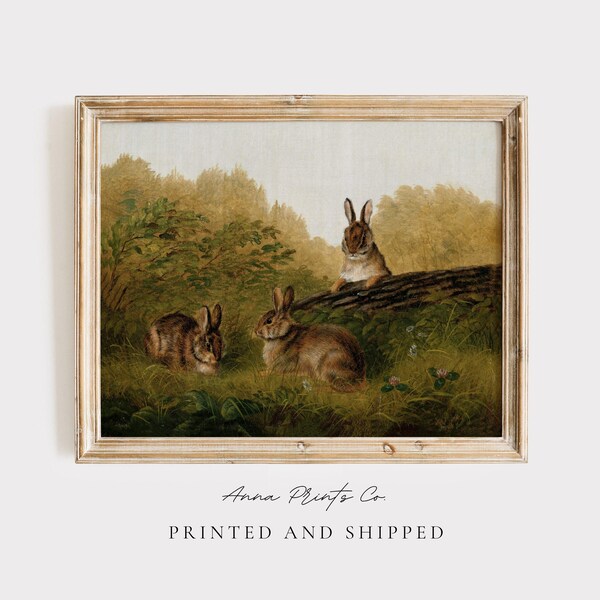 Rabbit Home Decor - Etsy