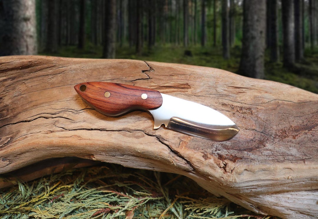 Little Orca, EDC Fixed Blade Knife, Bubinga Hardwood Handle, 1095 High ...