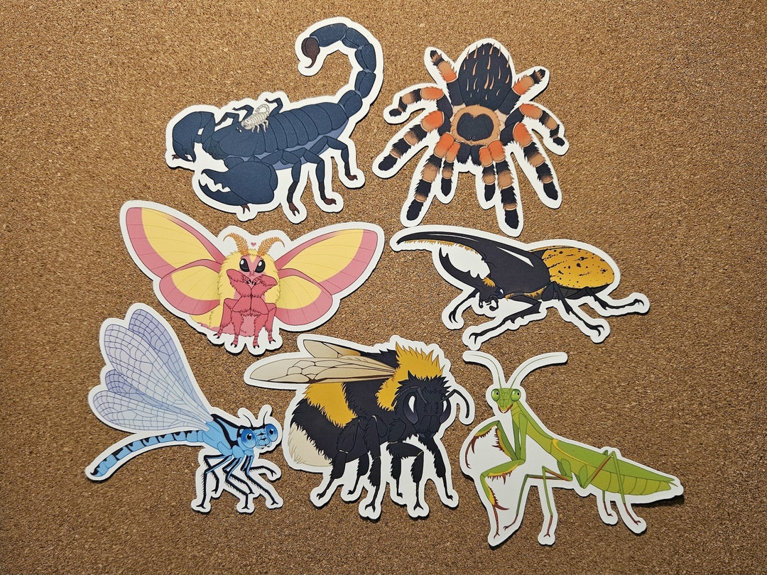 Insect Vinyl Stickers - Cute Bug Stickers - Arachnid Stickers - Etsy