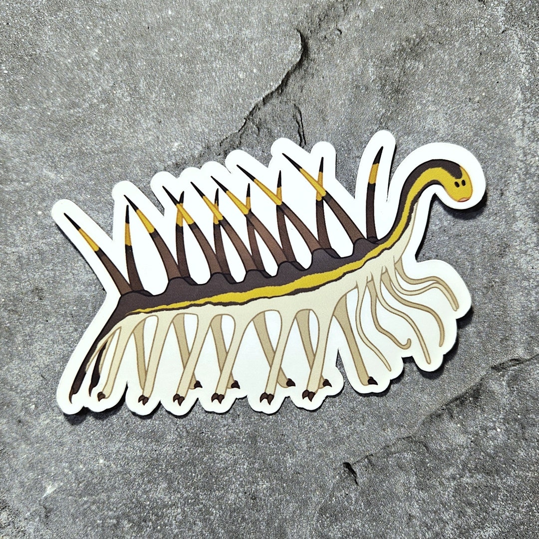 Hallucigenia Vinyl Sticker - Paleontology Sticker - Cambrian Era ...