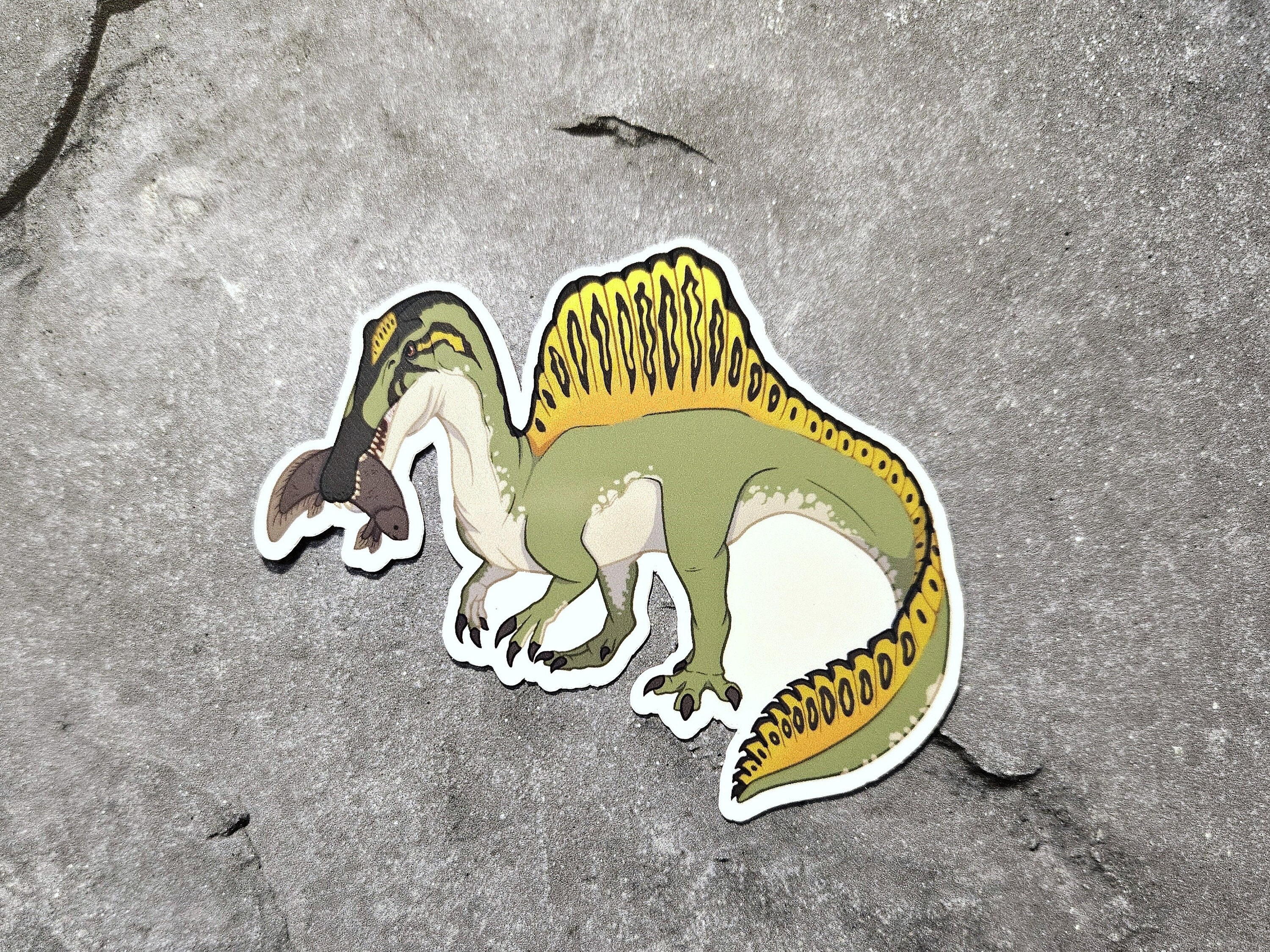 Spinosaurus Vinyl Sticker - Paleontology Sticker - Etsy