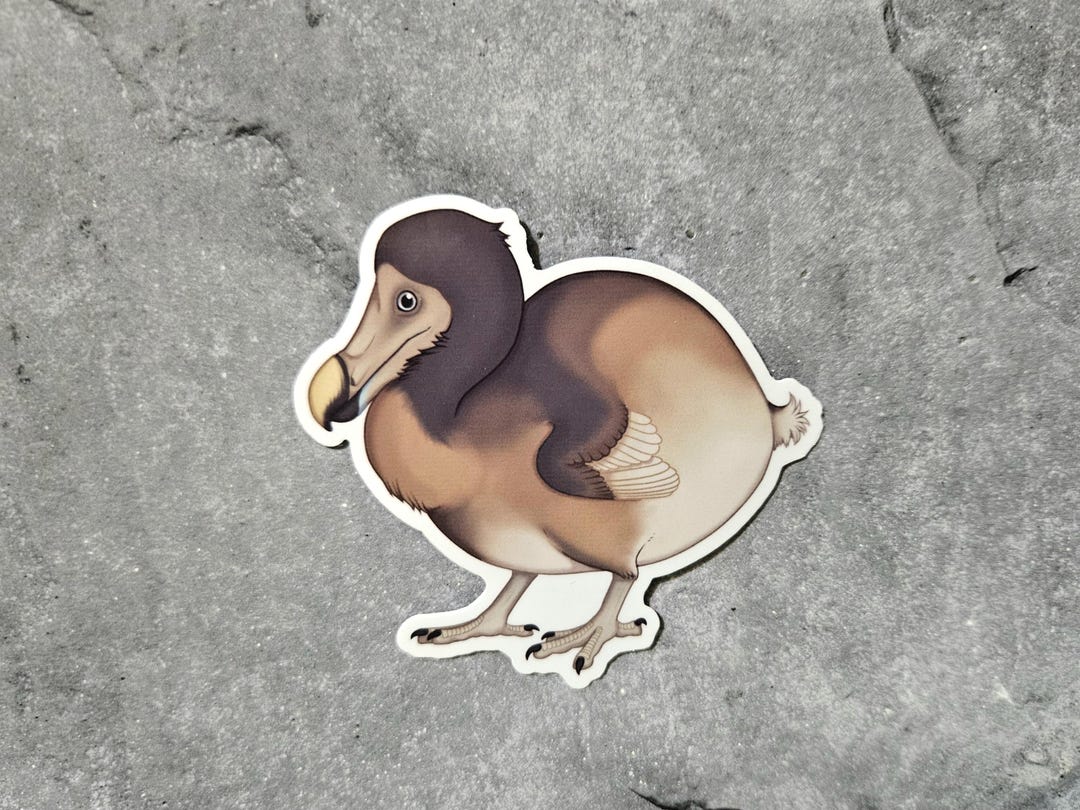 Dodo Vinyl Sticker - Recently Extinct Animals - Paleontology Sticker ...