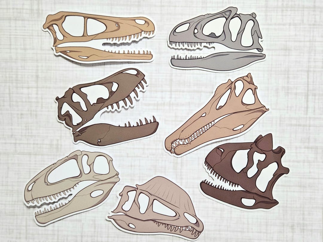 Dinosaur Skulls Vinyl Sticker Pack - Paleontology Stickers ...