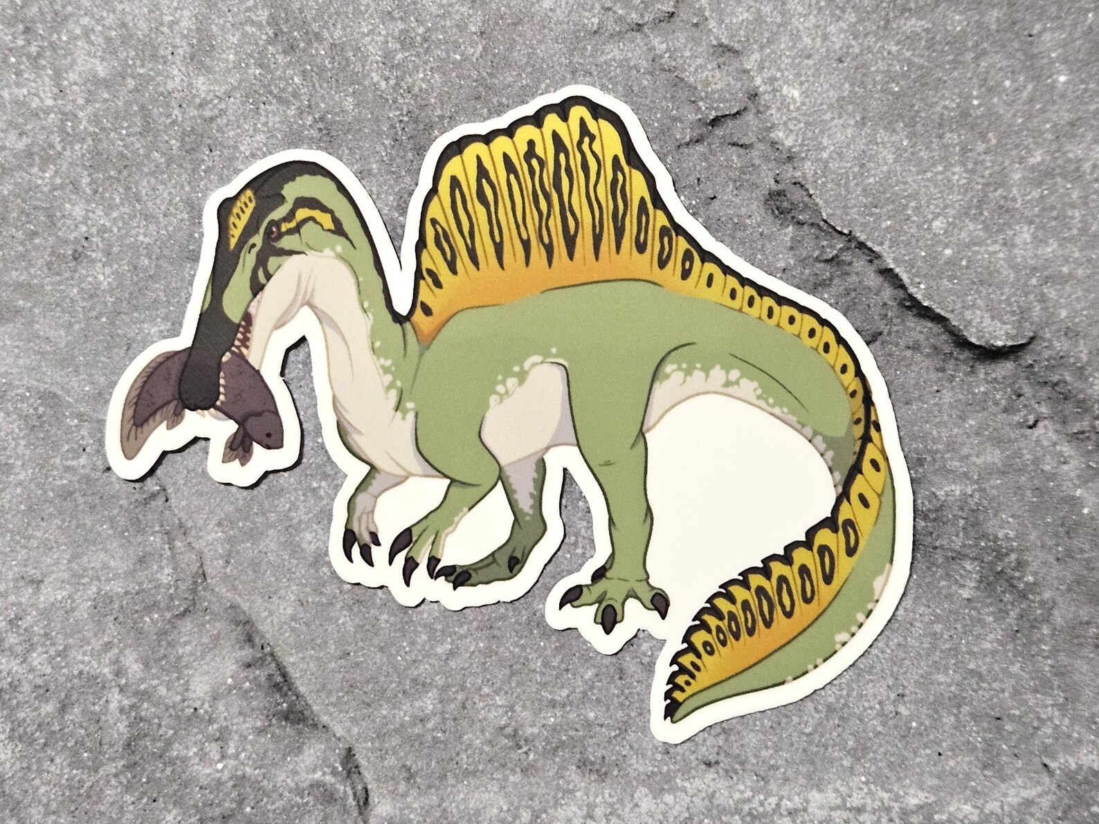 Spinosaurus Vinyl Sticker Paleontology Sticker - Etsy