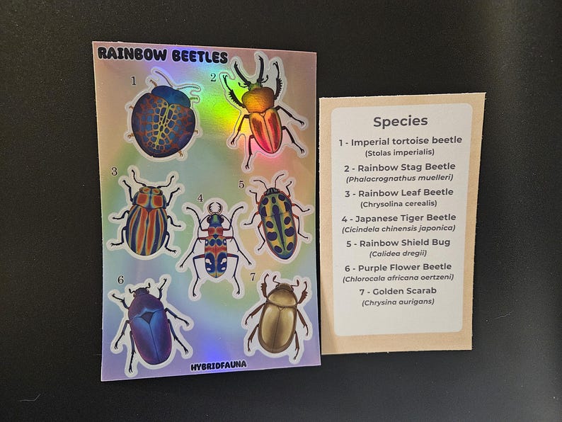 Rainbow Beetle Sticker Sheet Holographic Vinyl Stickers Colorful ...