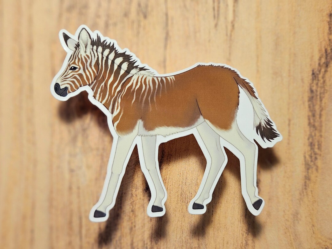 Quagga Foal Vinyl Sticker - Cute Baby Zebra Sticker - Extinct Animals ...