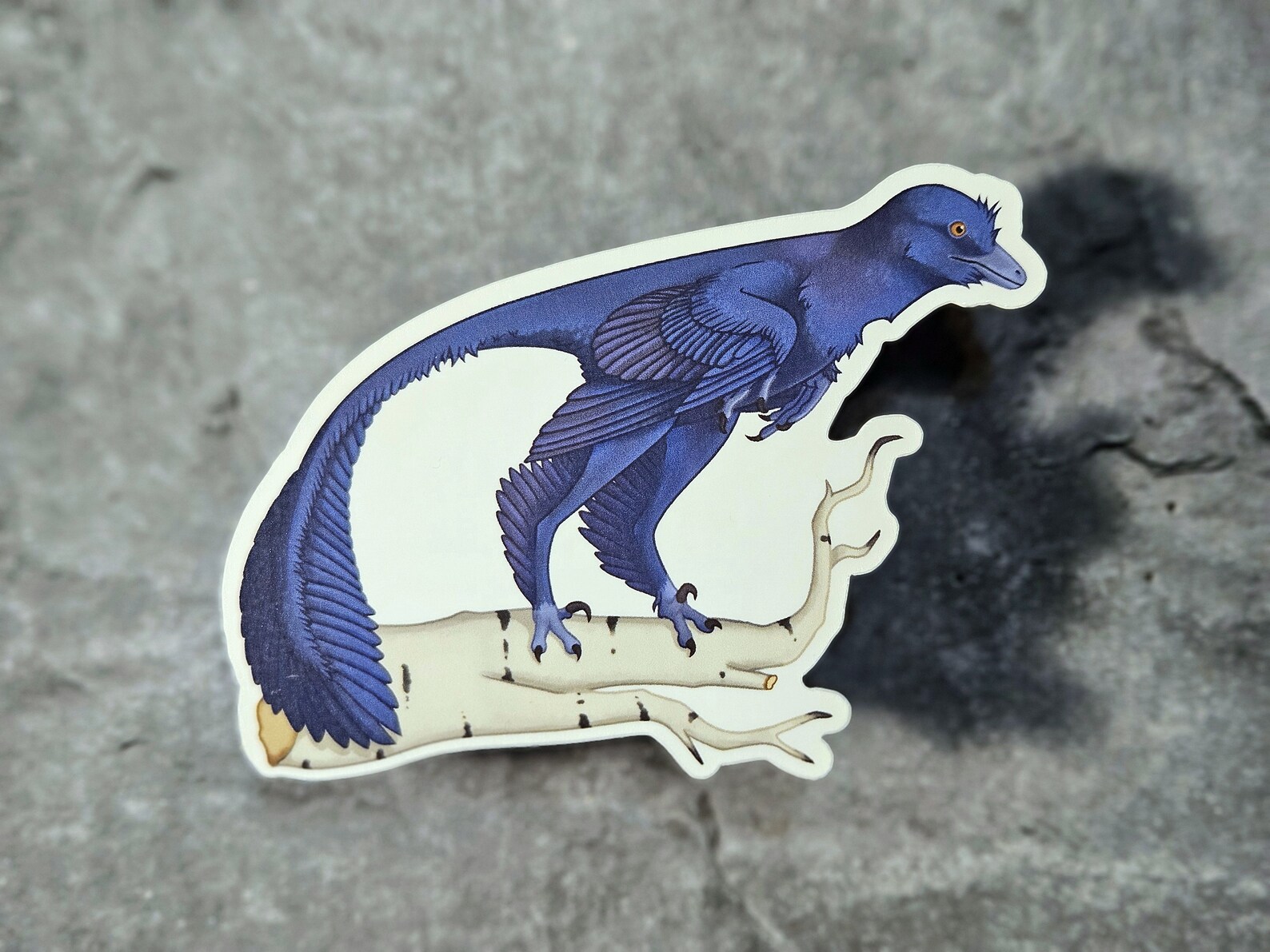 Microraptor Vinyl Sticker Paleontology Sticker 2 Different Variants ...