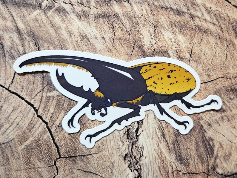 Insect Vinyl Stickers - Cute Bug Stickers - Arachnid Stickers - Etsy