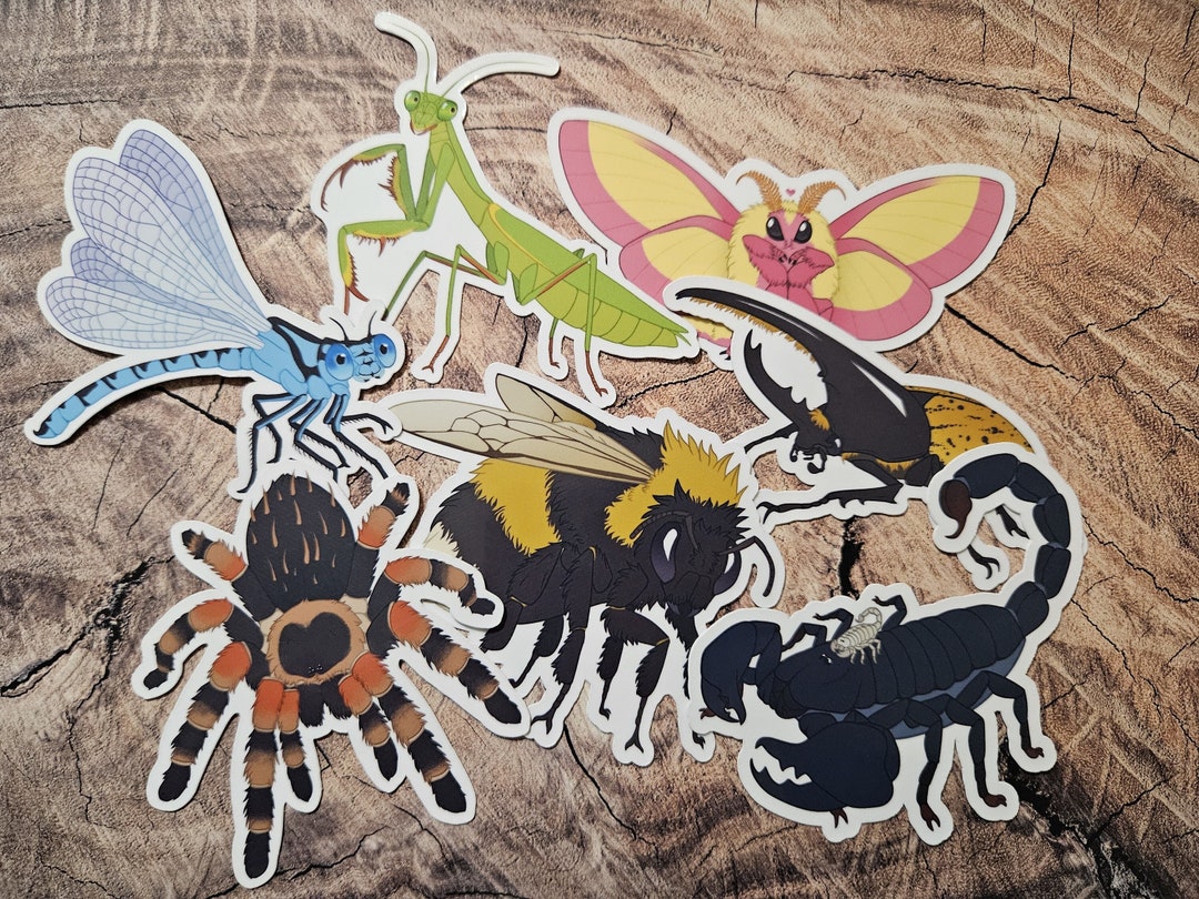 Insect Vinyl Stickers Cute Bug Stickers Arachnid Stickers - Etsy
