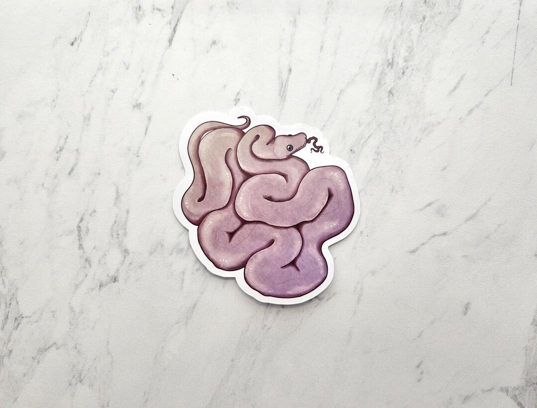 Creepy Gut Snake Vinyl Sticker Halloween Horror Sticker Body Horror ...