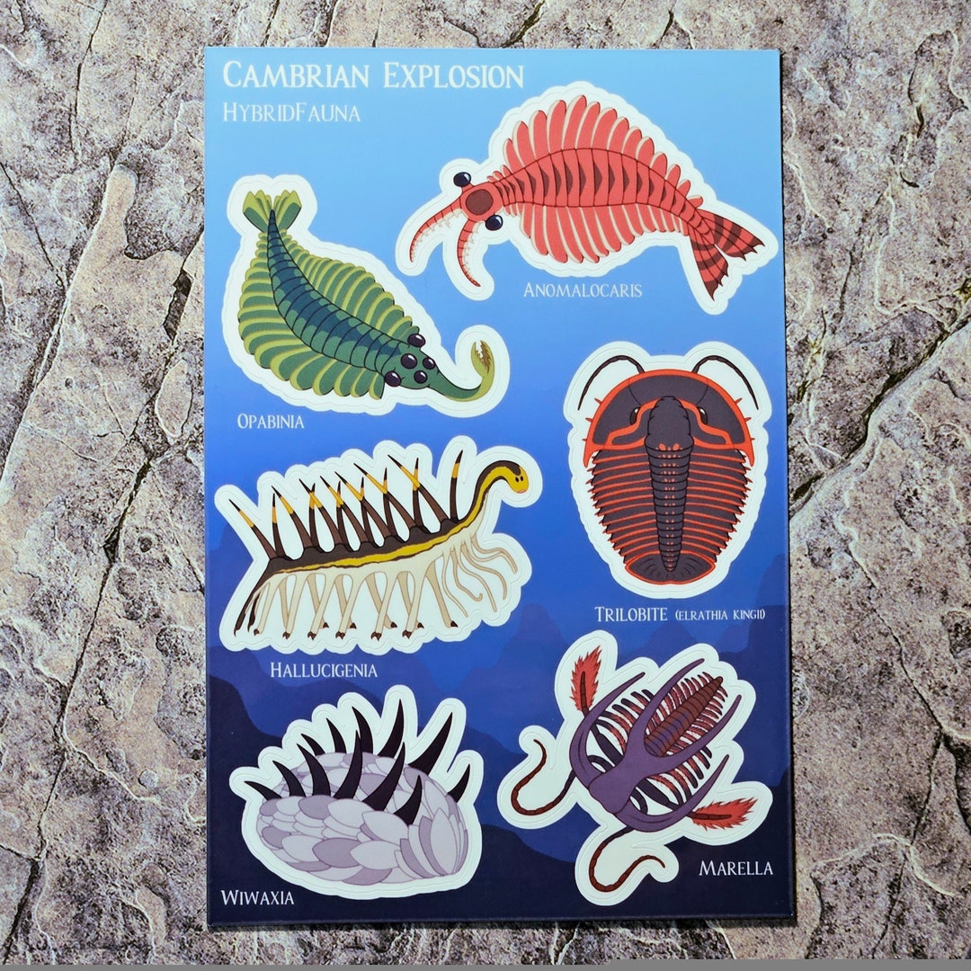 Cambrian Explosion Sticker Sheet - Paleontology Stickers - Anomalocaris ...
